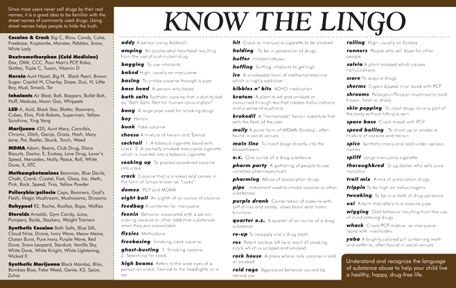 Street Smart Drug Slang Dictionary Pamphlet | Prevention Resources