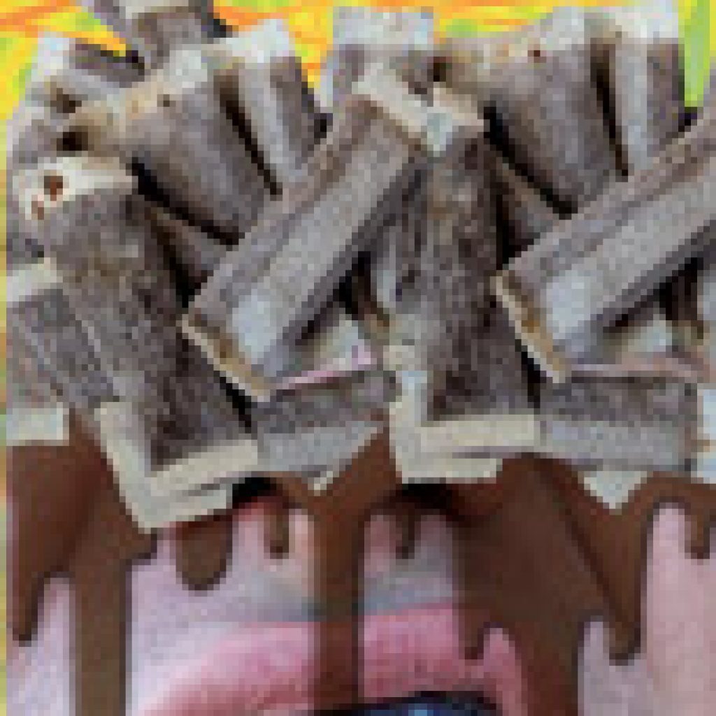 "In the Know: Snus-Spitless Tobacco, You Snus, You Lose" Pamphlet ...