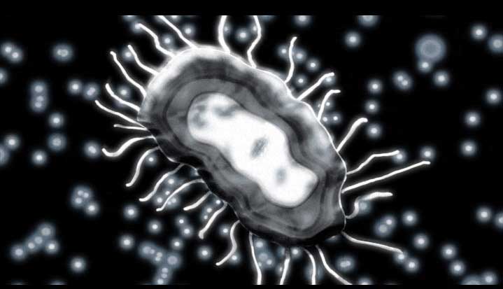 STD Pamphlet: Just The Facts | Prevention Treatment Resources