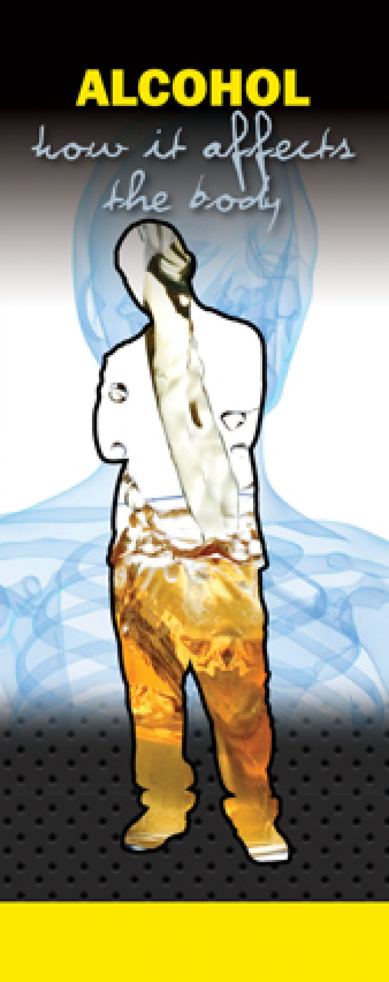 Alcohol Abuse and Your Health Pamphlet | Prevention Resources